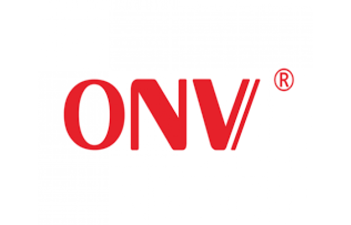 Light & Logic Electronics